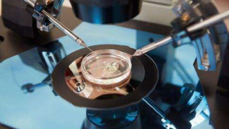 做试管婴儿手术有多疼?镜头记录下过程,看完男人要深思!