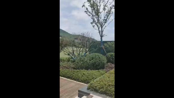 从广东东莞过来的,我以前的客户,现在的朋友!