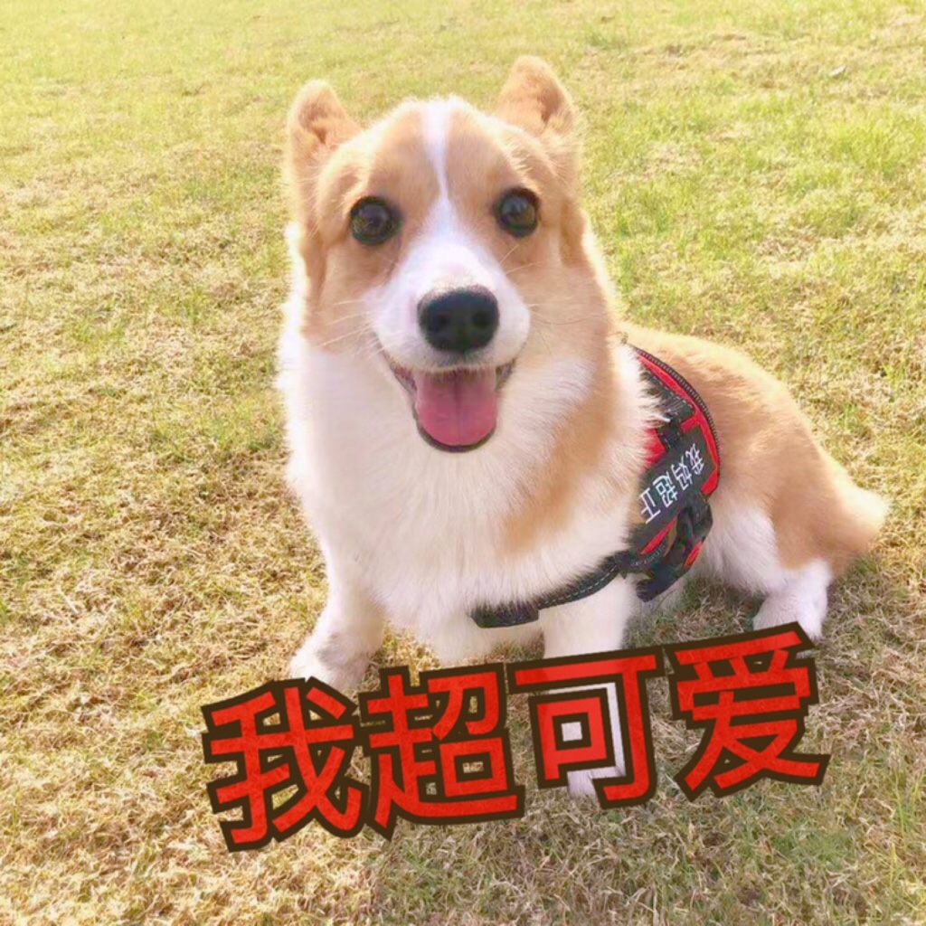 Sierra惜取今朝 