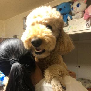 次郎妈妈在日本 