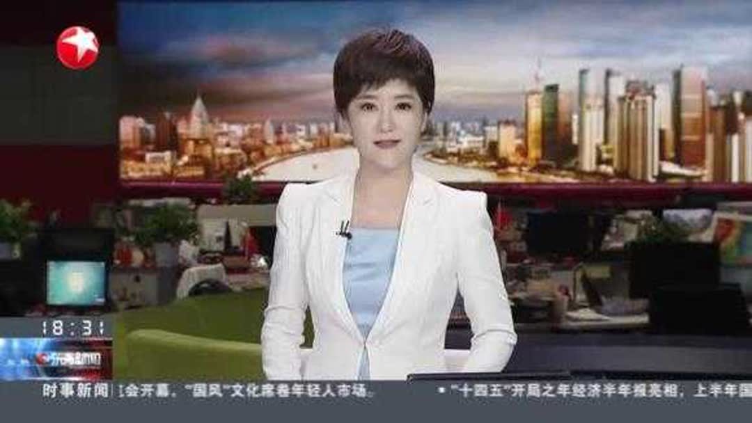 首届"携手圆梦两岸同胞交流研讨活动"在沪举行