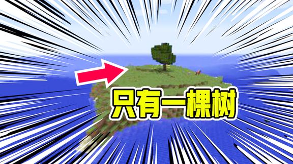 我的世界:1.8一棵树的生存!给这么多资源,你看不起大佬咯?
