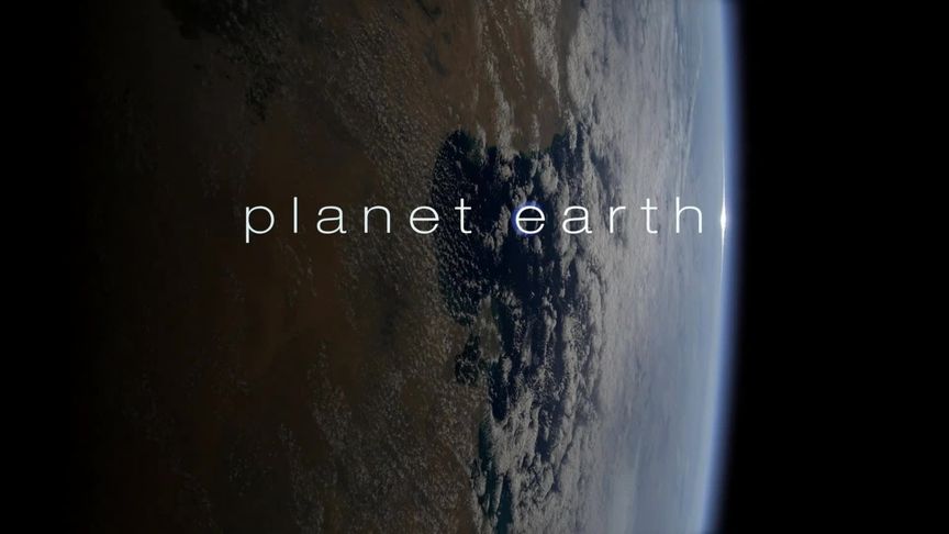 太阳对植物的影响力(上)