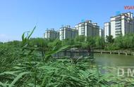 衡水枣强县创建国家园林县城,视频宣传片,真是大气!