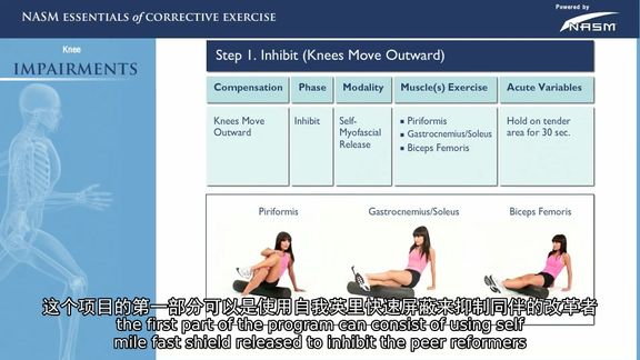 NASM-CES纠正训练专栏:第68课膝关节系统纠正练习策略第2部分
