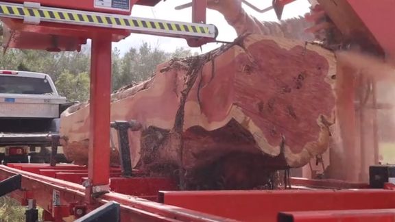 来自德国的木板切割机,确实很牛