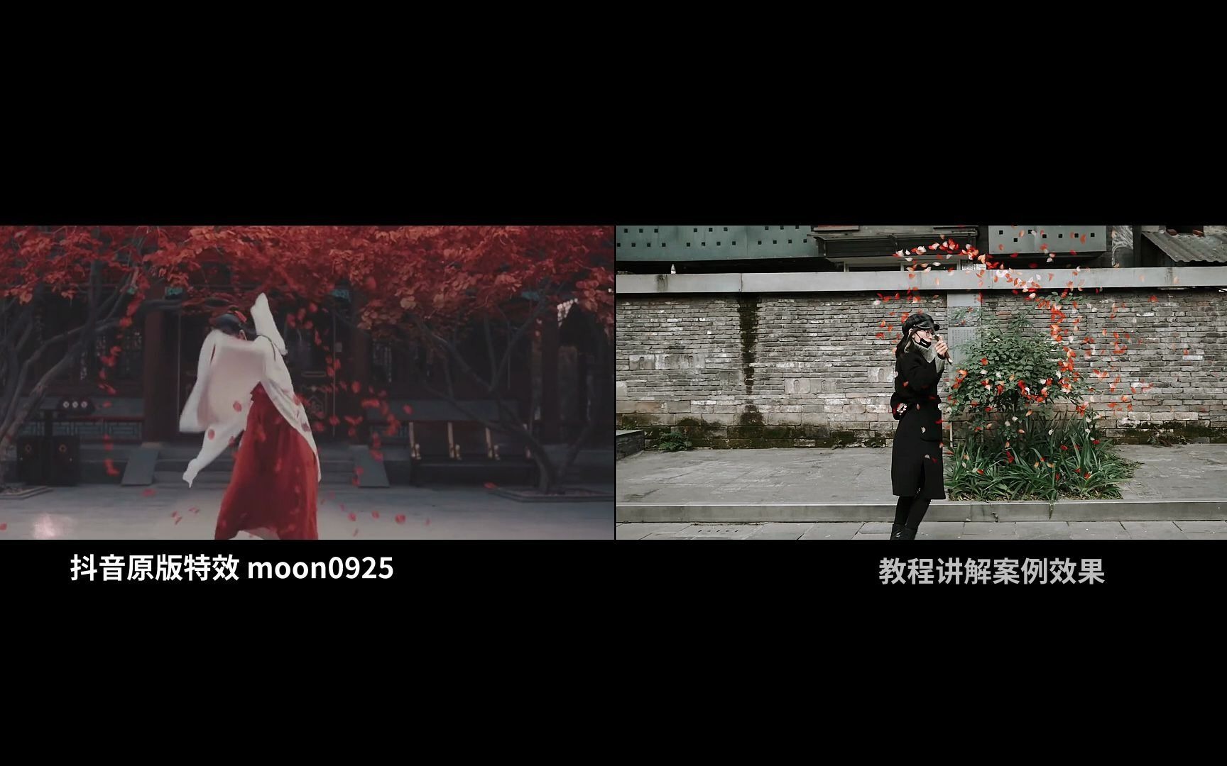AE粒子花瓣古风合成案例-教程宣传片