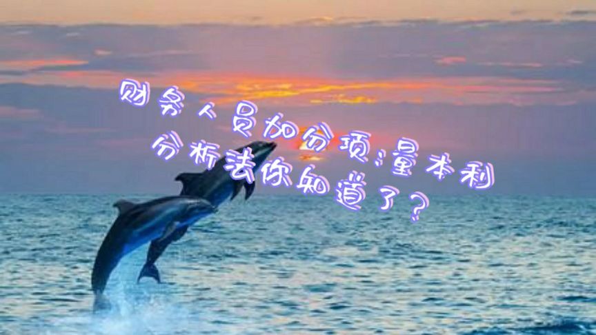 财务人员加分项:量本利分析