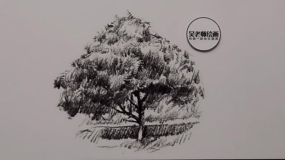 素描风景树的画法教程#画画#素描#风景