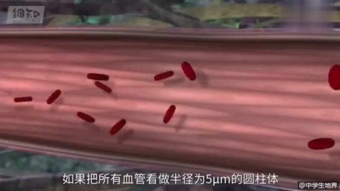 网上法庭操作流程