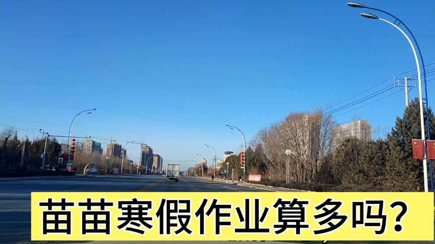 放假第2天去学校取寒假作业,看看苗苗的寒假作业算不算多?