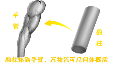 【板绘】画画需要需要学会的几何体概括!从圆柱体着手手臂的绘制!...