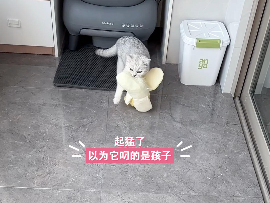 眼花了,看啥都像猫