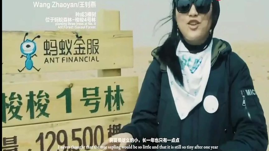 马云蚂蚁森林阿拉善种植区实拍,这是一个伟大的公益性项目