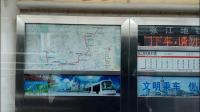 上海张江有轨电车1路日景:张江地铁站→张东路金秋路(终点站)右侧...