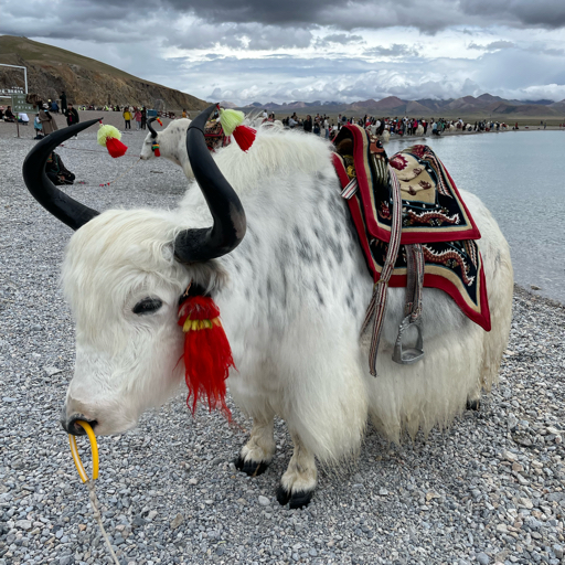 0833城乡规划学胡加琦 