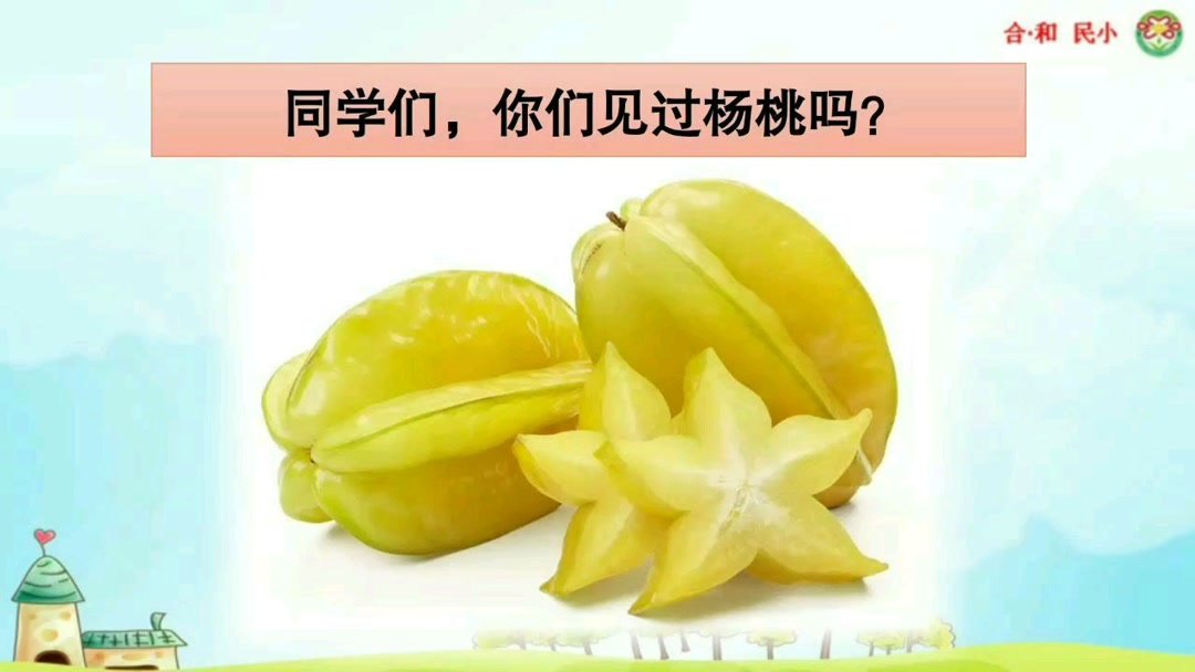 部编版二年级下册《画杨桃》