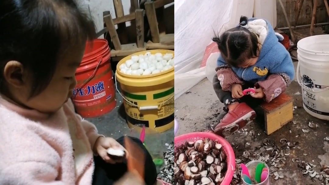 懂事得令人心疼!4岁小女孩放学回家,熟练帮家人削马蹄补贴家用