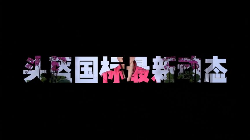 电动自行车乘员头盔国标最新动态。