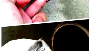 排气管黑 是积碳了吗