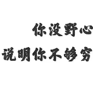 财经小晨晨 