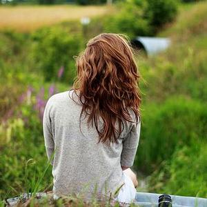 低调的的灰太狼 