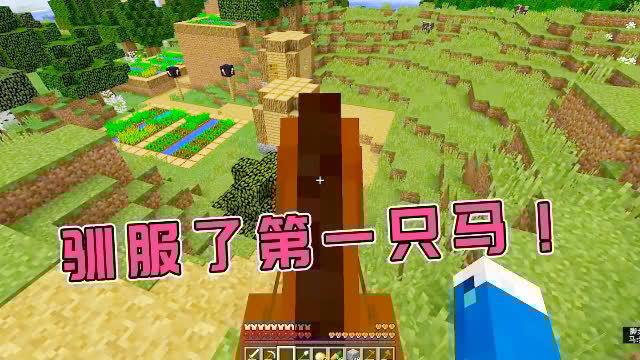 我的世界:在这里驯服的第一只马儿!终于又有坐骑了