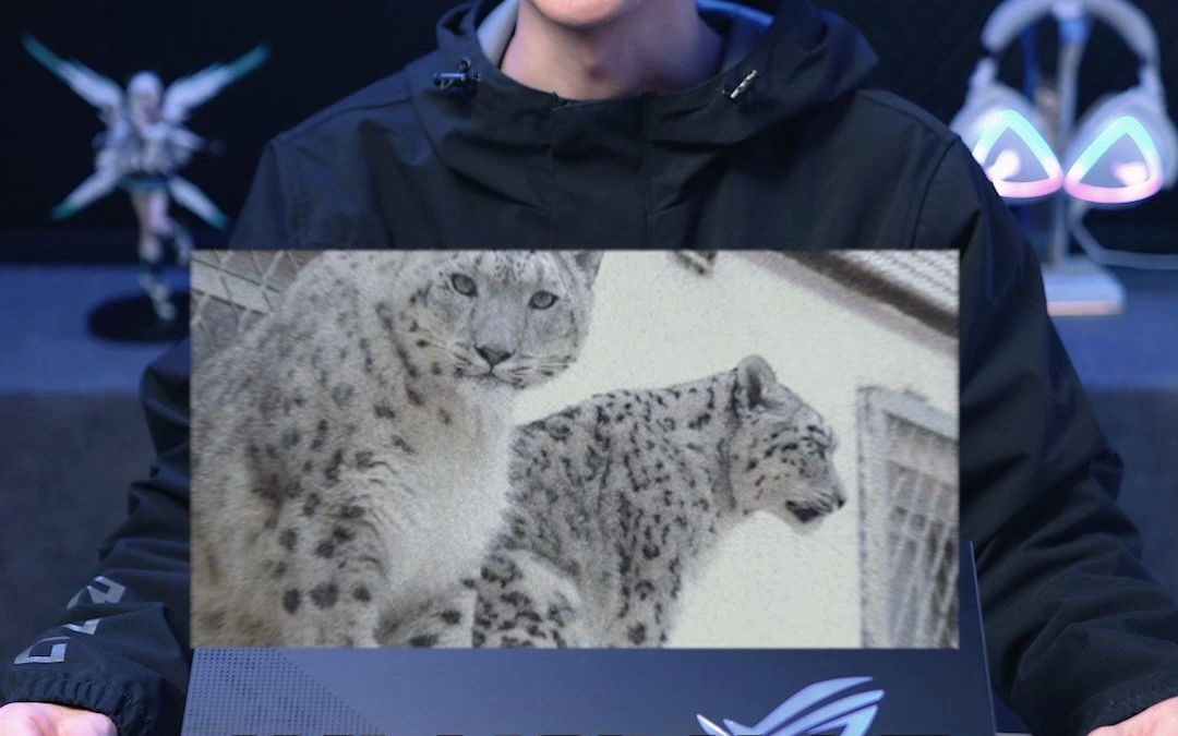 华硕有什么显卡?该如何挑选?