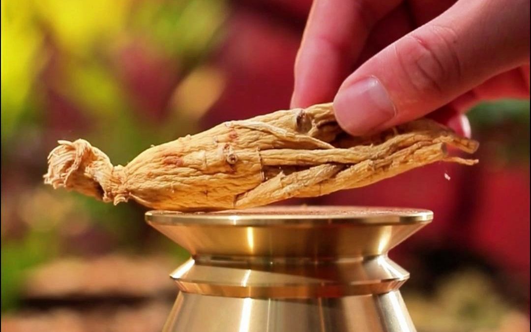 中医药传统势必造福人民发扬文化