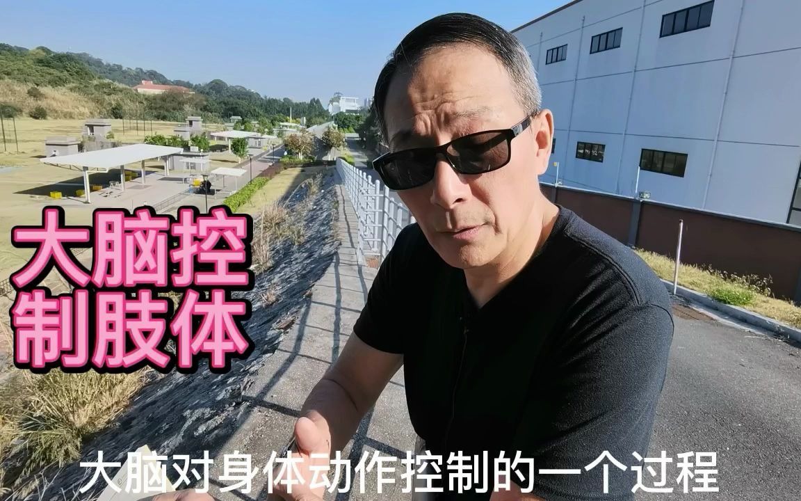 身体动作协调性反映大脑功能控制