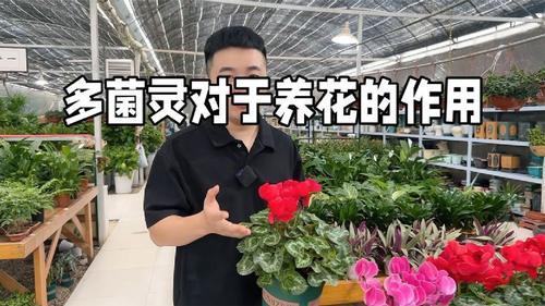 多菌灵对于养花的作用