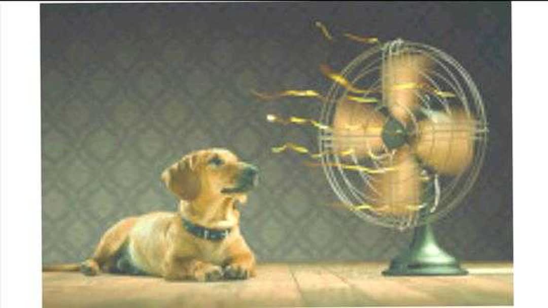 电风扇转不动,先别急着换马达,师傅教你这个零件一换就好