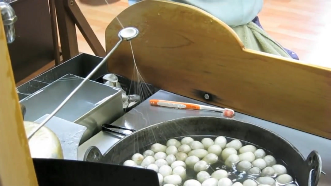 日本丝绸制造全过程,养蚕抽丝和我国类似,还是学走很多核心技术