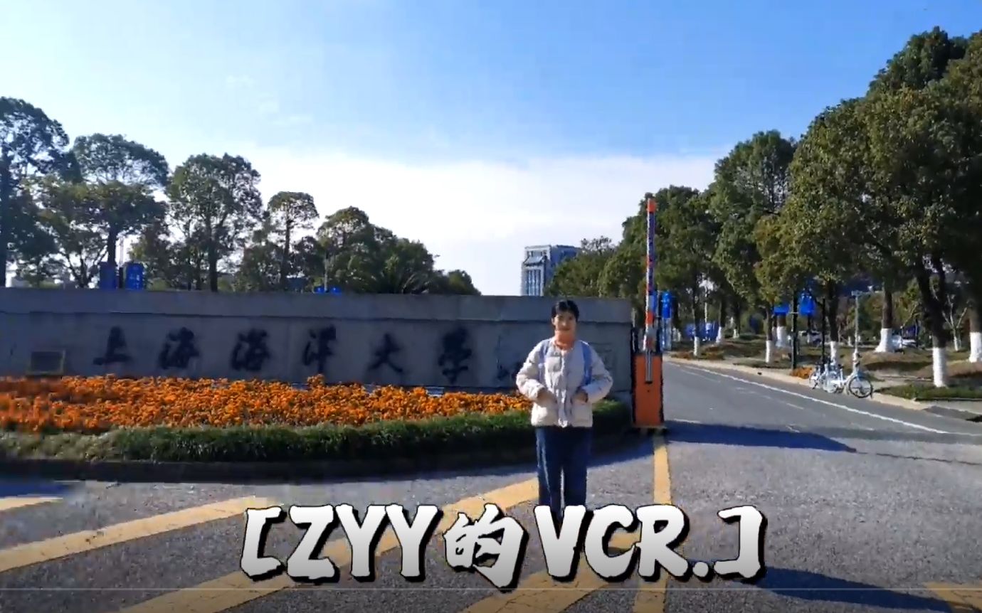 关于我那年少无知的大学职业规划VCR