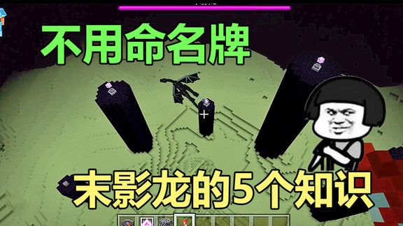 我的世界:关于末影龙的冷知识,不能用命名牌命名,但可以复活