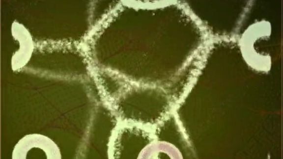 细菌真菌感染人体后,在表皮层生长繁殖的邻觉生长数学模型