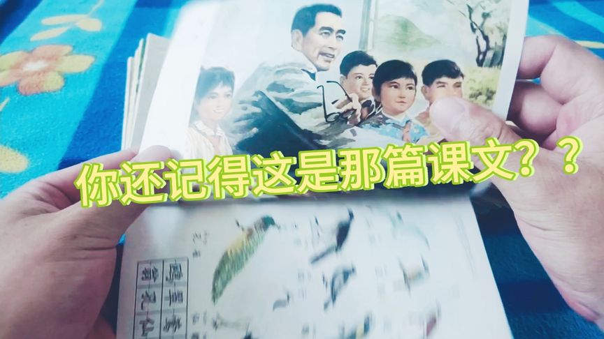 人民教育出版社课本插图