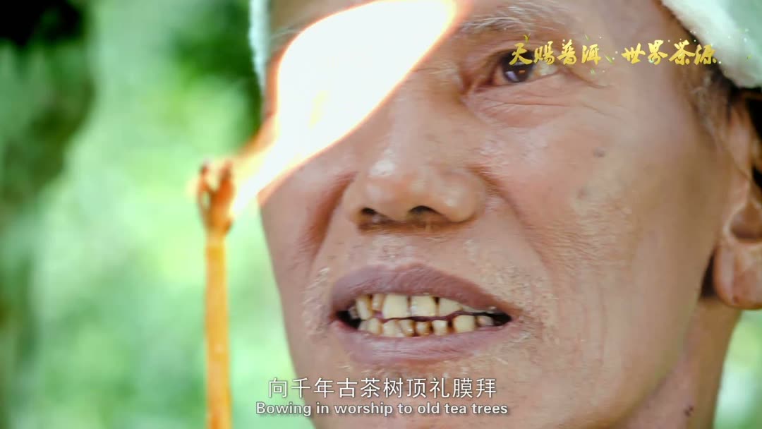 《天赐普洱 世界茶源》云南省普洱市宣传片