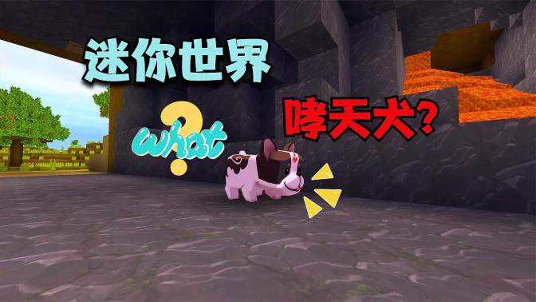 迷你世界:驯服的狗进入神奇的矿洞,居然可以变成哮天犬!