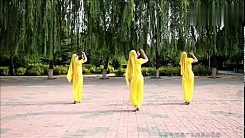 《美丽的神话》动作分解(云裳讲解)印度风情广场舞云裳团队出品