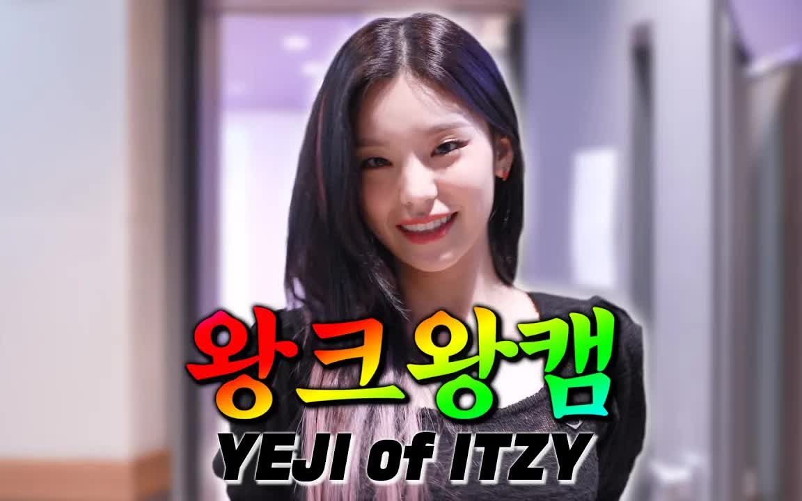 ITZY黄礼志高清怼脸直拍版运动鞋