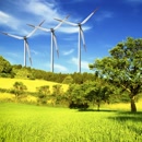 美食大赢家秀秀 