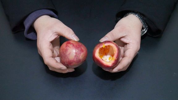 百香果的果皮别扔,加点蜂蜜泡水原来这么厉害,解决很多人的烦恼