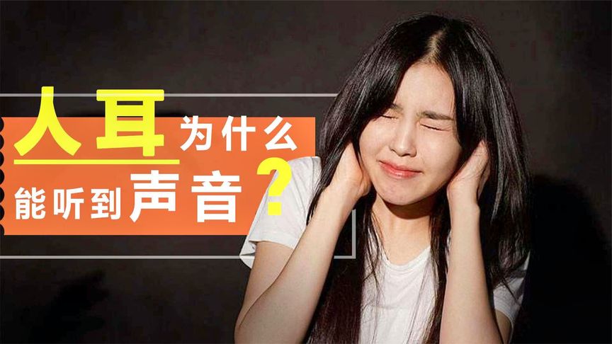 人耳为什么能听到声音?你真的了解它的原理吗?不妨一起看一下