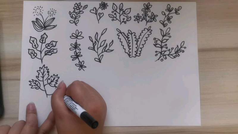 今天来个大家分享几种绿植线描画法