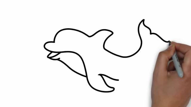 简笔画:顽皮的海豚在玩气球