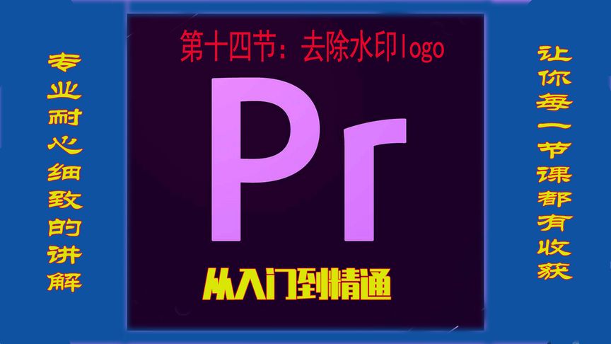 PR入门到精通,第十四节视频快速除水印和logo方法,请跟上节奏