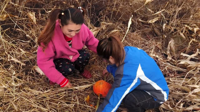 搞笑童年:小帅不借傻妞推车,姐姐给傻妞自制一个南瓜车