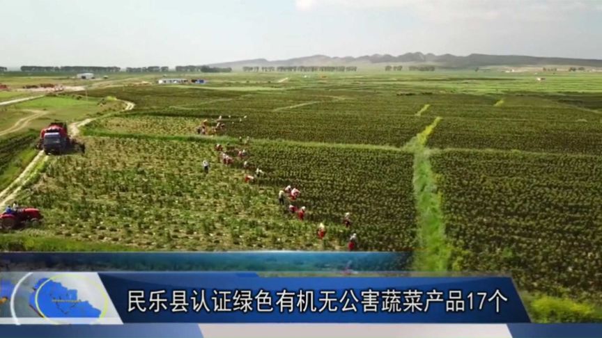 民乐县认证绿色有机无公害蔬菜产品17个