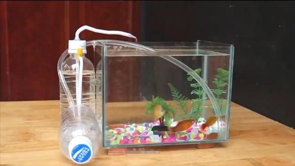 两个矿泉水瓶解决鱼缸增氧问题,制作简单成本低还不用电,真方便